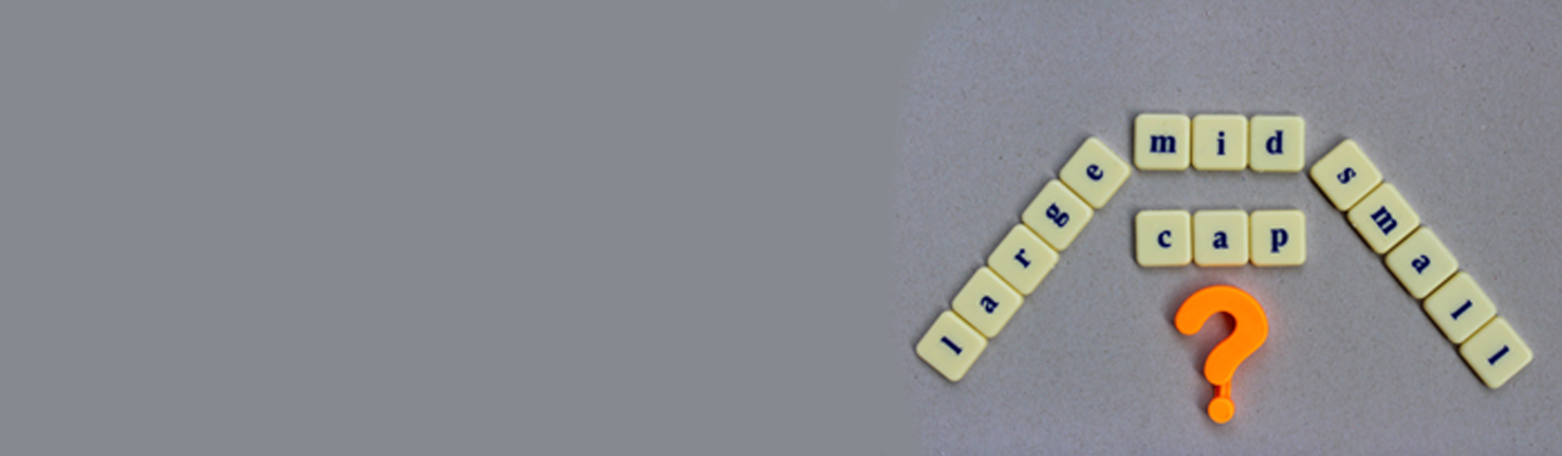 What Is A Multi Cap Fund And Its Types? | Edelweiss MF