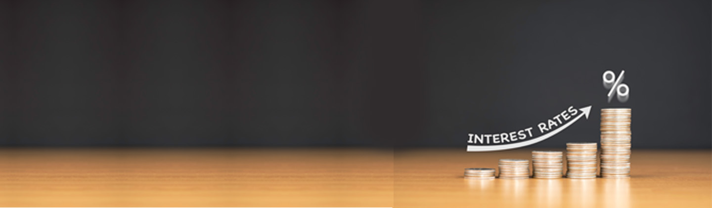 How Do Interest Rate Changes Affect The Return On Debt Funds | Edelweiss MF