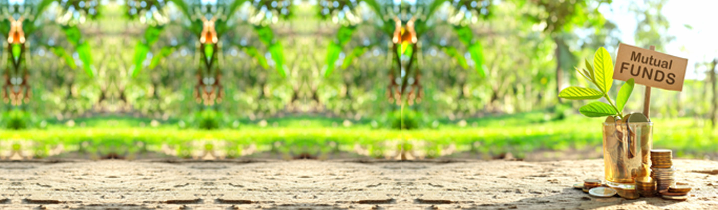 Different Types of Mutual Funds in India