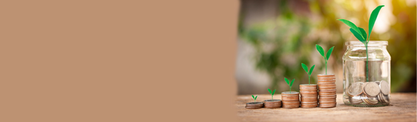 Understanding different Types of Hybrid Funds | Edelweiss MF